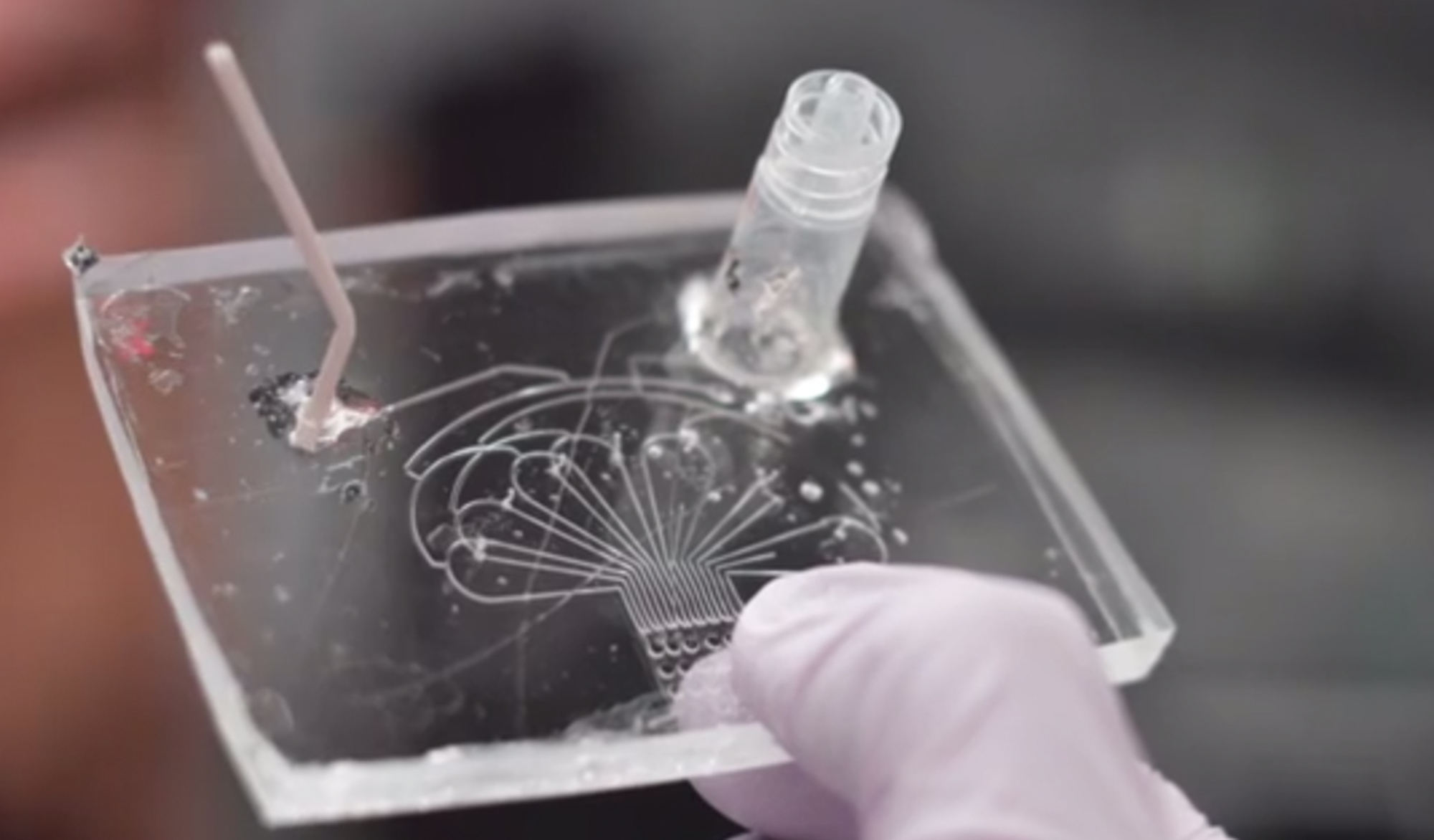 PrintAlive Bioprinter regenerates skin by printing tissue-bandages : Makery