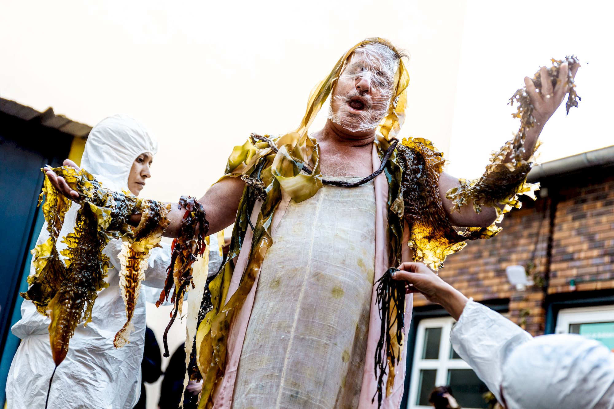 Adam Zaretsky: Transgenic Ecology, An Oxymoron? : Makery